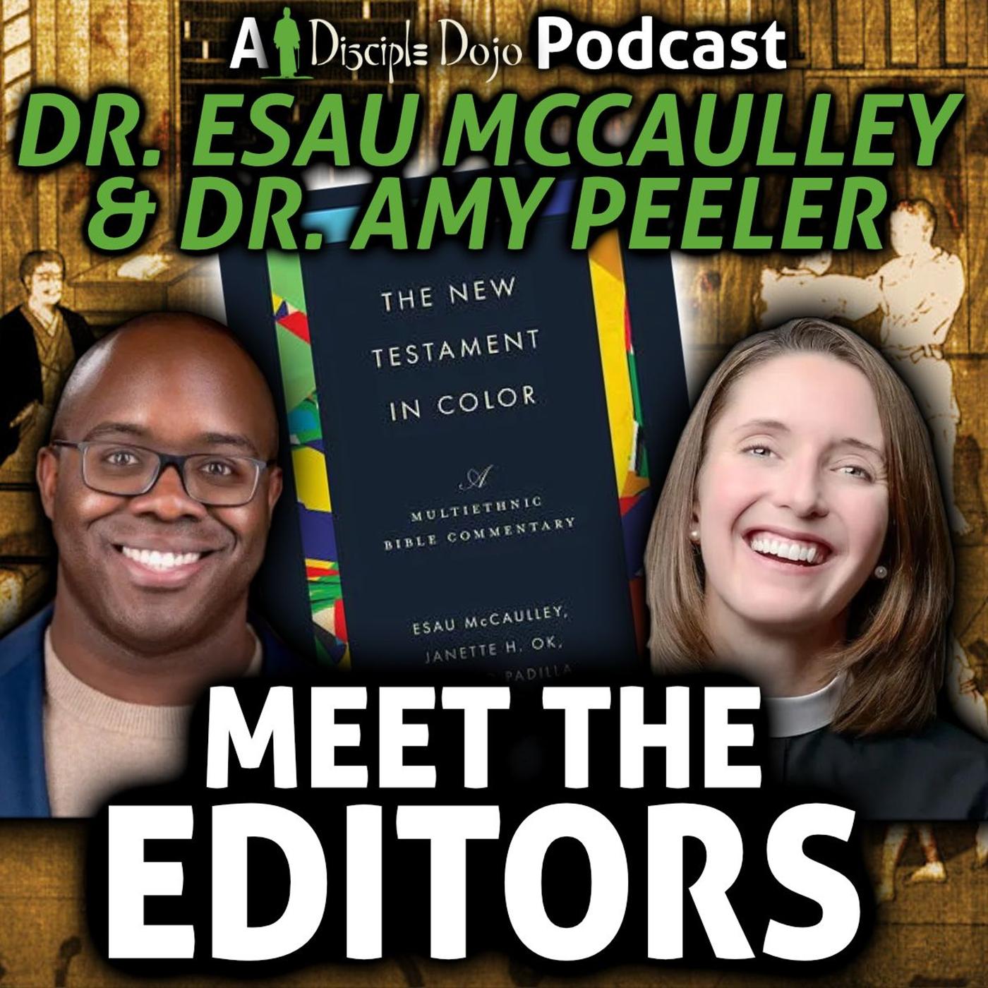 Podcasts - Rev. Dr. Amy Peeler